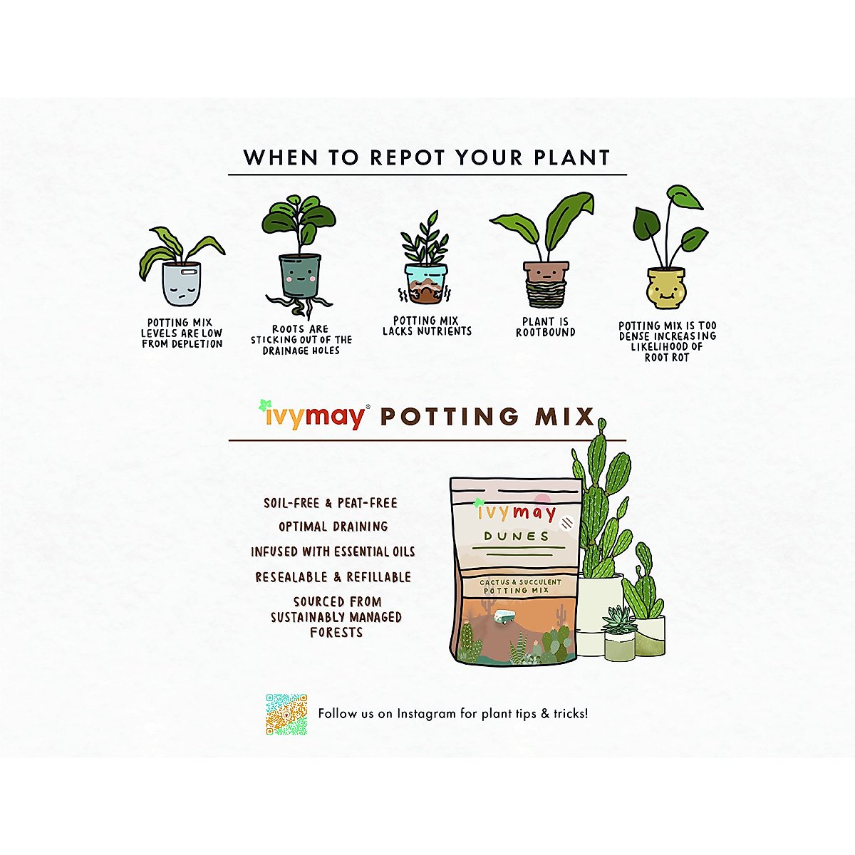 IvyMay Dunes Succulent Soil ― Organic Cactus Soil Potting Mix for Succulents, Ready to Use Potting Soil Indoor Plants with Perlite, Pumice, Earthworm Castings, Essential Oils ― 5 qt