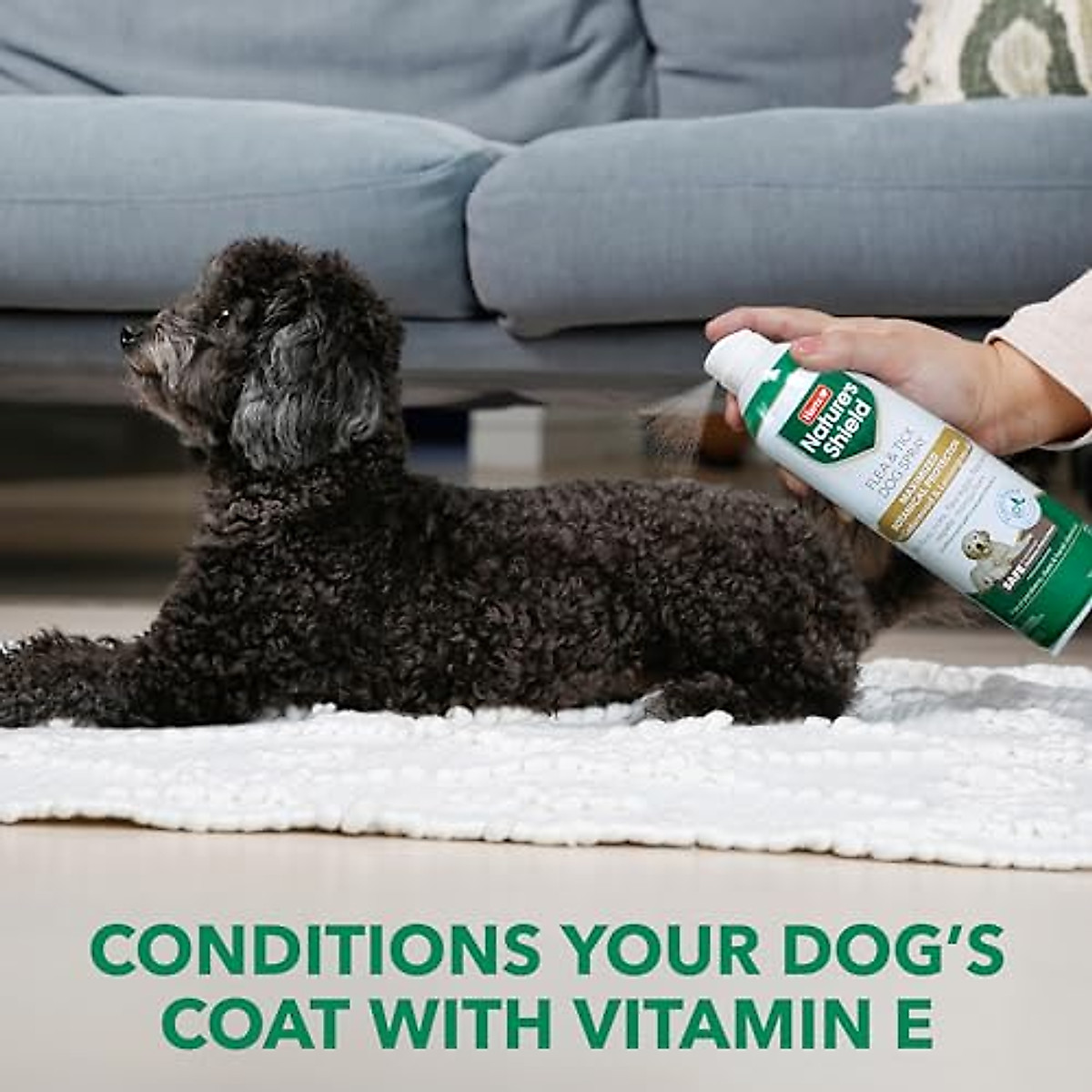 Hartz Nature’s Shield Flea & Tick Spray Treatment for Dogs, Natural and Effective Flea & Tick Prevention and Protection for Dogs with Cedarwood and Lemongrass Oil, 14 Ounces