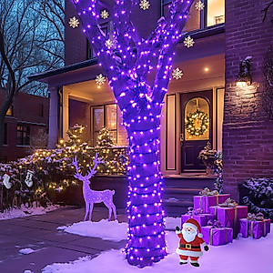 JMEXSUSS 600LED Purple Solar Christmas Lights, 206.7ft Solar String Lights Outdoor Waterproof, 8 Modes Purple Solar Lights for Patio Tree Gardens Halloween Xams Christmas Decor