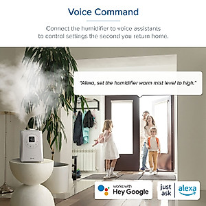 LEVOIT Humidifiers, White & Humidifiers for Bedroom Large Room Home, Smart Wifi Alexa Control, 6L Top Fill Cool Mist, Gray