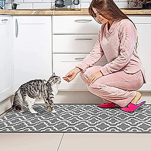HEBE Indoor Door Mat Runner 20"x59" Non Slip Front Door Welcome Mats Washable Shoe Mats Dirt Trapper for Entryway Low Profile Kitchen Carpet for Entrance Hallways Entrance Mat for Dogs