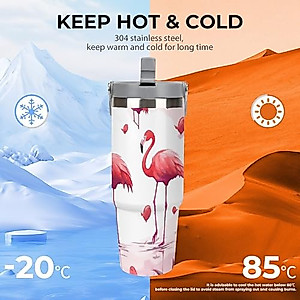 RTFGHJS Lovely Flamingos 30 Oz Tumbler with Handle And Flip Straw, Stainless Steel Vacuum Insulated Travel Mug, Thermal Cup for Coffee, Water, Iced Drinks, Fits Car Cup Holders (Home, Sports)