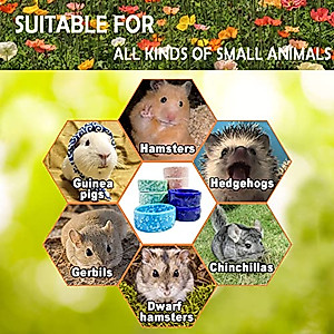 kathson 2 Pcs Hamster Food Bowl Guinea Pig Ceramic Water Bowl Small Animal Feeding Dish for Dwarf Hamster Gerbil Syrian Ferret Hedgehog Chinchilla Bunny (Blue)…