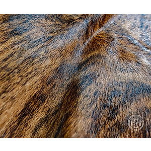 Genuine Brindle Reddish Cowhide Rug Large Size 6 x 6-7 ft. 180 x 210 cm
