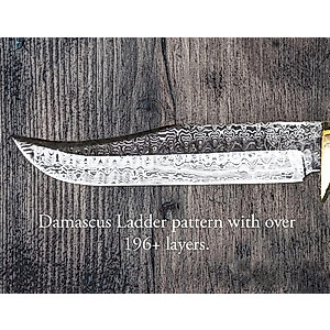 R&S INDUSTRIES CRAFTS LLC Damascus hunting knife | Custom Handmade Damascus steel hunting Bush craft knife| EDC Overall 13" Knife with Genuine Leather sheath | Best Birthday & Anniversary for him