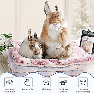 ROZKITCH 4 Pieces Guinea Pig Blanket Bed, Washable Hamster Bedding Pad for Small Animal, Soft Plush Fleece Mat for Sugar Glider Hedgehog Chinchilla Sleep Bed, Rabbit Cage Accessories 11.8 x 15.7inch