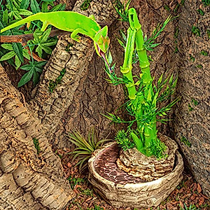 REPTIZOO Reptile Water Fountain Automatic Water Dispenser Height Adjustable 2 in 1 Bamboo Plant Water Dripper for Reptiles Chameleon Lizard Gecko Amphibians