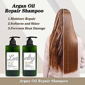 LORELTY Argan Oil shampoo and conditioner set for dry damaged hair treatment for damaged hair repair -for All Hair Types & Color Treated Hair, Men and Women