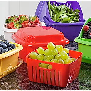 Hutzler Berry Keeper Box, 1 Quart, Red