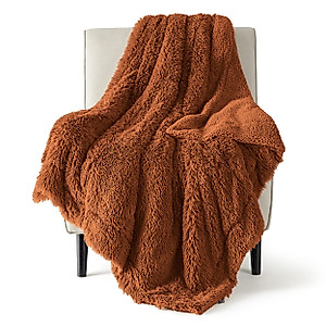 Bedsure Faux Fur Burnt Orange Throw Blanket – Fuzzy, Fluffy, Shaggy Orange Blanket, Soft and Thick Sherpa, Cozy Warm Fall Blanket, Autumn Throw Blankets for Couch, Sofa, Bed, 50x60 Inches, 640 GSM