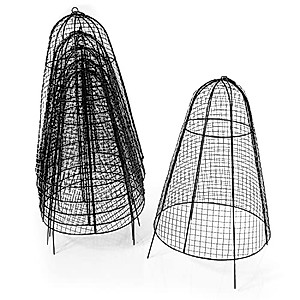 RUAFOX 6 Pack Metal Garden Cloches - 20" High Plant Cover - Weather Resistant Wire Plant Dome - Rustic Farmhouse Chic Decor - with 12 Copper Labels