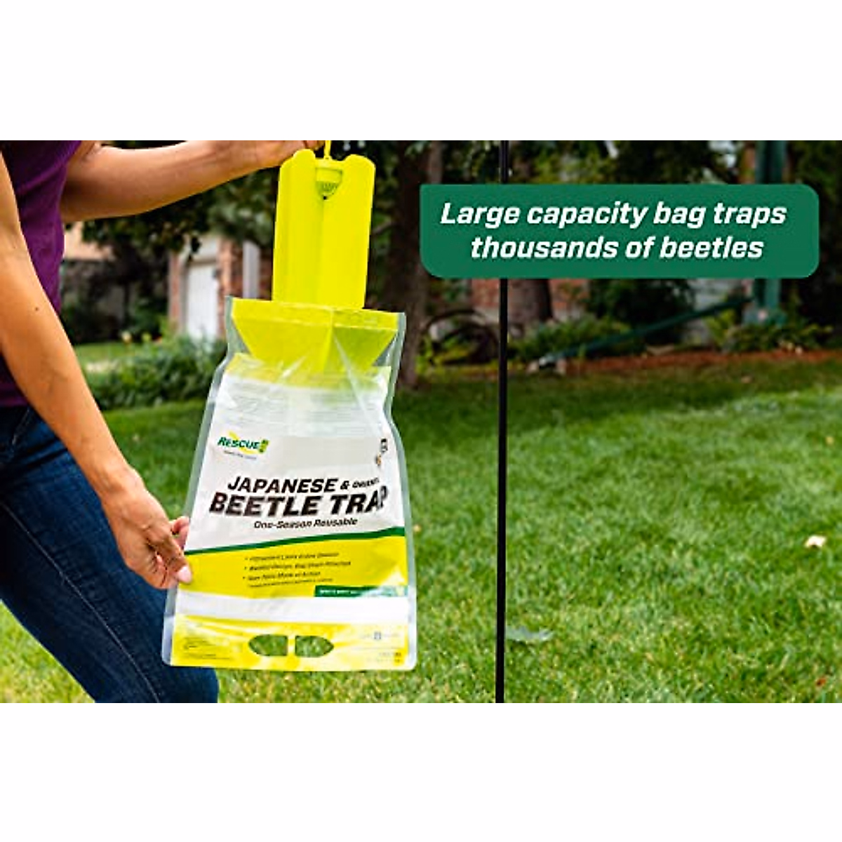 RESCUE! Japanese Beetle Trap – Reusable Bag - 6 Traps