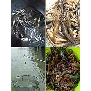 LikeFish Foldable Fishing Net Hand Casting Cage Crab Net for Minnows, Crab, Lobsters, Fishes (Small-Dia 31.5"/23.6")