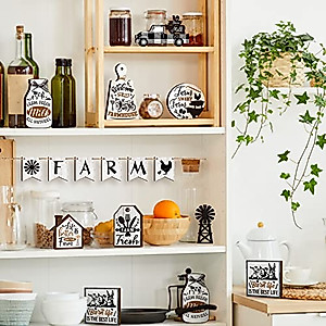 14 Pieces Farmhouse Tiered Tray Decor Home Tiered Tray Decor Rustic Wooden Home Decor Wood Bead Garland with Tassel Mount Window Frames Decor for Farmhouse Home Kitchen Shelf(Farm Style)