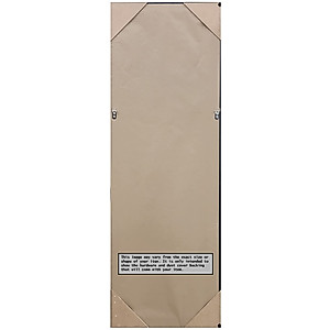 Amanti Art Bronze Full Length Mirror for Door, 50x16 Two Tone Bronze Copper Tall Wall Mirror Full Length, Mounted to Door or Closet Wall with no Visible Brackets, Modern Contemporary Wood Frame