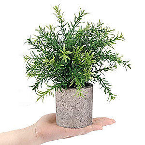 CEWOR 2 Pack Artificial Plants Mini Potted Plants Fake Bamboo Leaves Faux Rosemary Small House Plants for Home Office Desk Room Decor