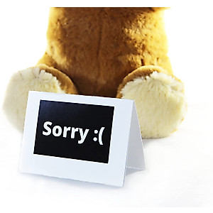 Cutest I'm Sorry Gift for Her & Him - The I'm Sorry Teddies - Embarrassed Adorable Super Soft Stuffed Animal Plush Toy - Unique Cute Forgive Me Apology Teddy Bear Gift for Kids and Adults - Brown