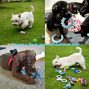 PawsAion 20 Pack Puppy Toys Set - Puppy Chew Toys for Teething, Interactive Dog Teething Toy for Small Breeds - Tough Rope Toys for Puppies, Cute Soft Rubber Toys Bundle for Teeting Pets