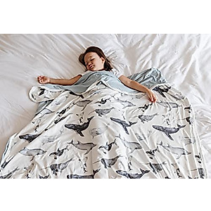 Pobi Baby Premium Baby Blanket, Soft Stretchy Quilt for Babies, Toddlers, Kids (Seaside)