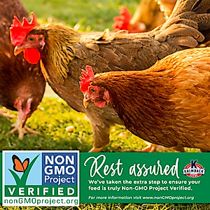 Kalmbach Feeds 1 Piece Layer Crumbles, 50 Lb