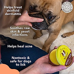 Natural Dog Company Wrinkle Balm Bundle, 2 oz. Tin & Travel Stick, Dog lotion for dry itchy skin, Cleans Wrinkles, Yeast Infection treatment for dogs, Plant based, Made in USA