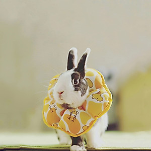 Adjustable Rabbit Protection Cone Collar, Waterproof Pet Recovery Collar for Rabbit Chinchilla Guinea Pigs After Surgery Wound Healing,Elizabeth E-Collar for Small Animals (XS (3.9''-7.9''), Yellow)