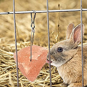 PINVNBY Rabbit Himalayan Salt Lick Block,Small Animals Chew Toys Rabbits Pink Natural Mineral Salts Blocks for Horses Bunny(8 Pcs)