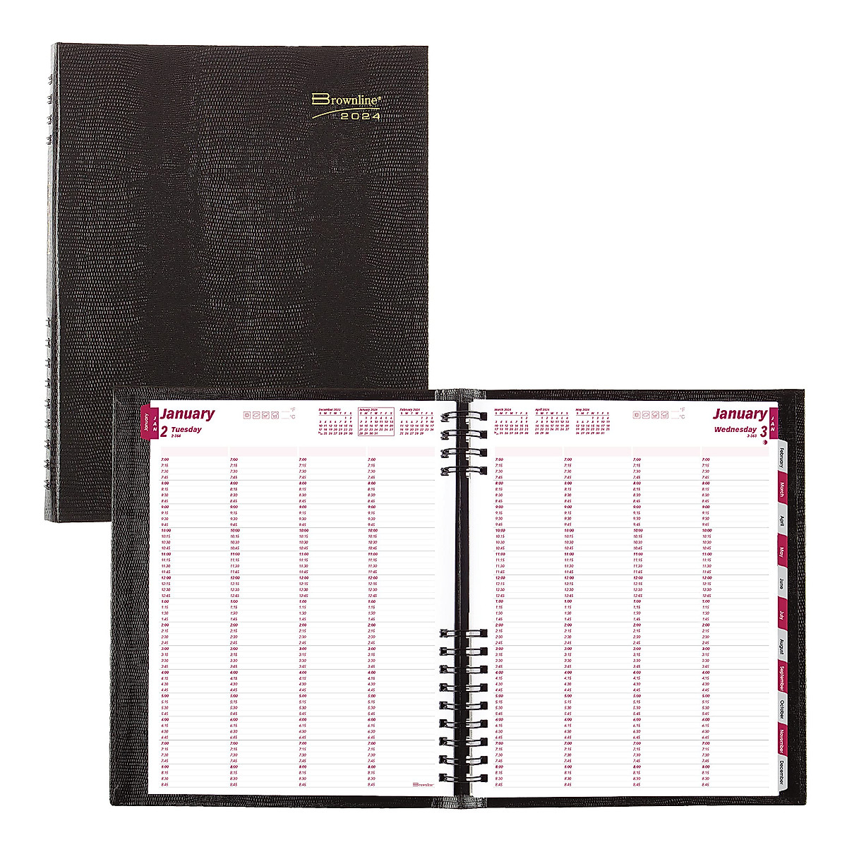 Brownline 2024 CoilPro Daily Professional Planner, Four-Person Appointment Book, 12 Months, January to December, Twin-Wire Binding, 11" x 8.5", Black (CB960C.BLK-24)