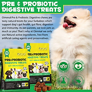 120 Chews Probiotics for Dogs