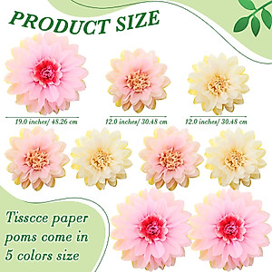 Gejoy 6 Pcs Large Tissue Paper Flowers Tissue Pom Poms 19" Pink Flowers DIY Crafting for Birthday Party, Bachelorette, Bridal Shower Decorations, Wedding, Baby Shower Decor