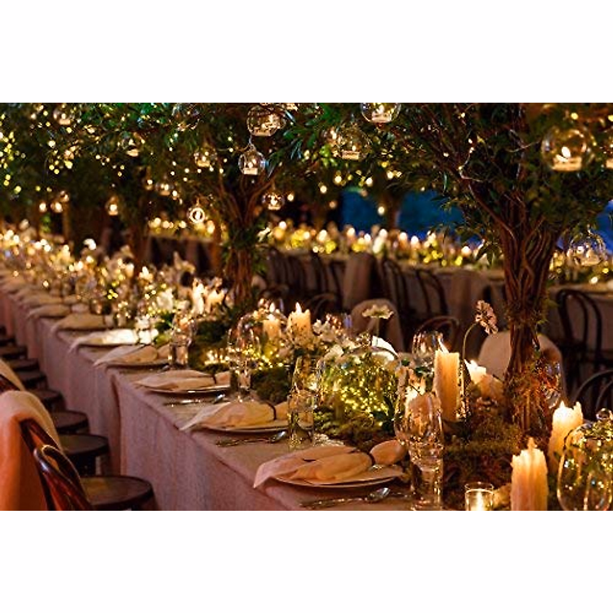 Dailyart 6feet 120 LED Starry Lights, Battery Operated Waterproof Dark Green Copper Wire Fairy Light String Light for Garland, Wreath, Patio, Garden, Wedding, Party, Xmas