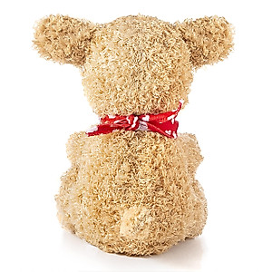 10" Valentine's Day Valentines Gift for Children Kids, Girlfriend, Boyfriend, Plush Stuffed Animal (One Pack Puppy)