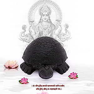 Vedic Vaani Shree Yantra On Tortoise Vastu Shaligram for Wealth and Protection (1 Pcs)