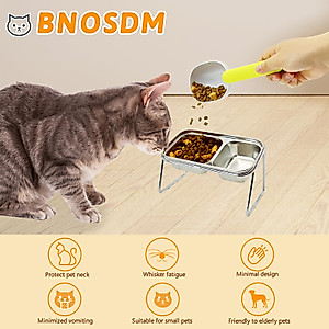 BNOSDM Raised Cat Bowls Stainless Steel 15° Tilted Elevated Kitten Food Bowl Stand, Double Food and Water Bowl Set Pet Anti Vomiting Feeder and Scoop Anti Slip Feet for Cats and Small Dogs