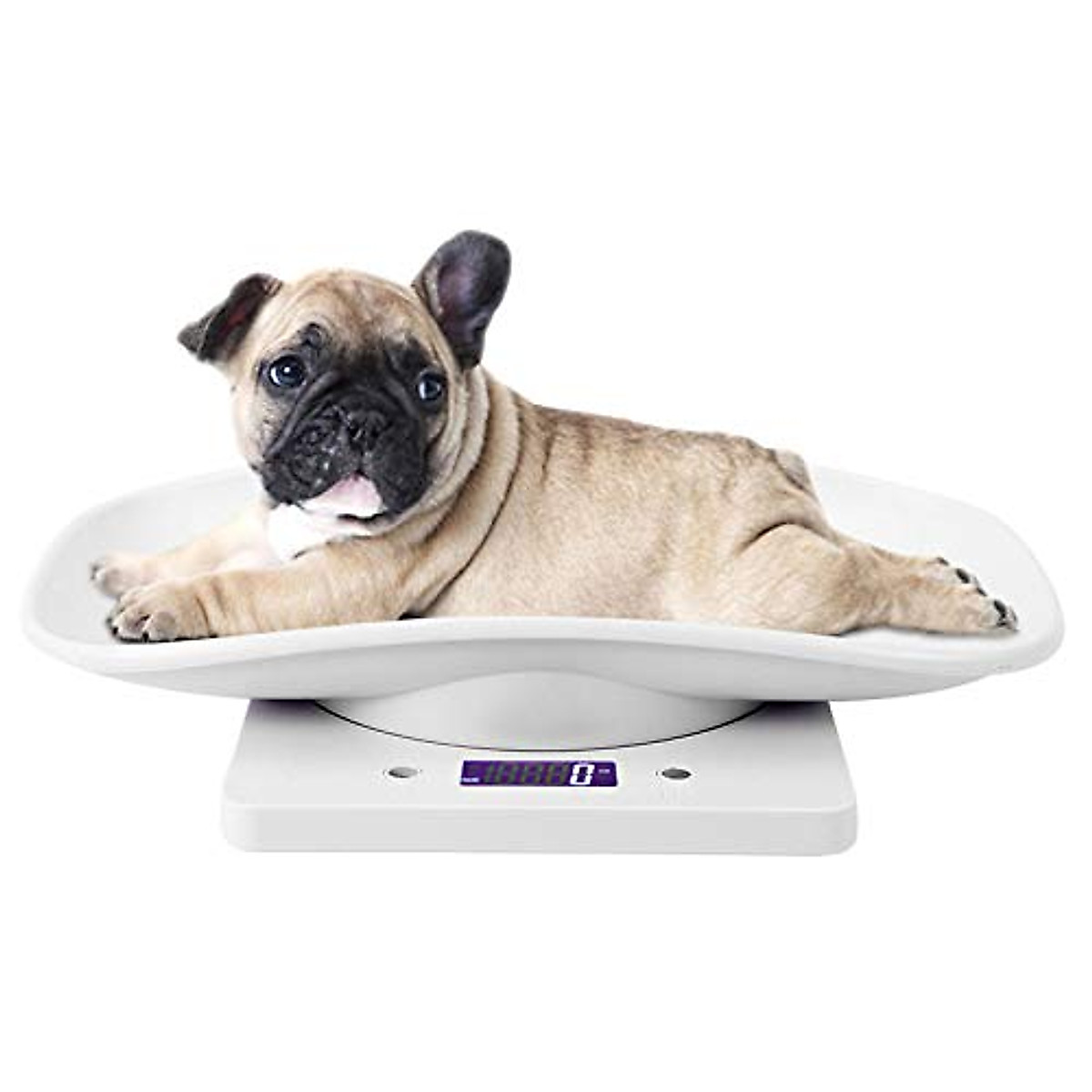 Digital Pet Scale, Animal Scales Platform Accurately Baby Weighing Tray Mini Precision Gram Weight Balance Multifunction LED Weights Tool Blue Backlight for Kitten Puppy Hamster Little Bird Toddler