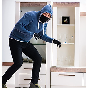 Conceal-a-Cam Home Security Camera Enclosure - Black