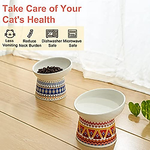 YauYik Raised Cat Food Bowls - Ceramic Tilted Cat Food and Water Bowl Set - Elevated Pet Feeding Bowls Stress Free for Kitten Elder Cats Small Dogs, Anti Vomiting, Neck Protection, Set of 2