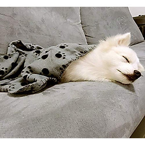 Comsmart Pet Blanket Dog Cat Soft Fleece Blankets Sleep Mat Pad Bed Cover with Paw Print for Kitten Puppy and Other Small Animals, 6 Pack of 24x28 Inches