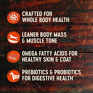 Wellness CORE Grain Free Weight Management Dry Dog Food, Turkey & Chicken Meal, 4 Pound Bag CORE Wet Dog Food Pate, Chicken, 12 Cans, 12.5 Ounce Can