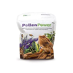 The Bio Dude Pollen Power 16 oz - Bee Pollen Supplement - High in Vitamins and Minerals for Bearded Dragons, Tortoises and Lizards