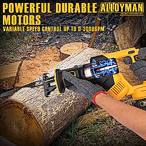 ALLOYMAN Reciprocating Saw, 20V Cordless Battery Power Saw, with 2 X 2.0Ah Batteries & Charger, 0-3000 SPM Variable Speed, Tool-Free Change, 6 PCS Blades for Wood Metal PVC Pipe Tree Cutting