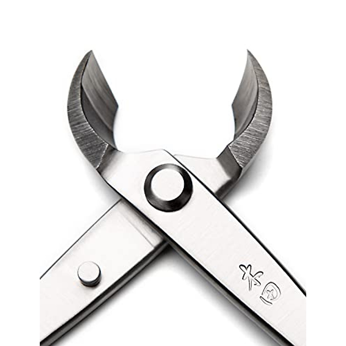 180MM Bonsai Round Edge Cutter Professional Grade Branch Cutter Alloy Steel Bonsai Tools Equip With Tool Bag (MTS-13)