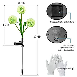 HIXVITA Solar Garden Lights Outdoor Waterproof, 4 Pack Solar Pathway Lights Multicolor, Dandelions Solar Flowers Lights for Patio Yard Flowerbed Pathway Lawn Decoration (2 Working Modes)