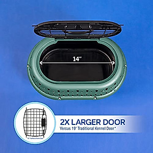 Petmate Two Door or Top Load Pet Kennel Carrier for Pets up to 10 Pounds, Green, 19 Inches Long
