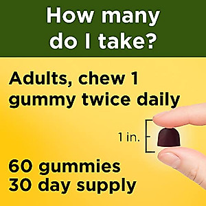 Nature Made KSM-66 Ashwagandha Gummies for Stress Support, 60 Gummies, 30 Day Supply