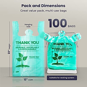 [100 Pack] Reusable Plastic T-Shirt Bag Eco Friendly Grocery Shopping Thank You Recyclable Trash Basket Bags