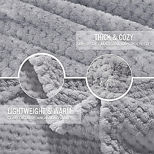 Exclusivo Mezcla Fleece Throw Blanket Extra Large, Super Soft and Warm Blankets for Couch, Sofa and Bed Waffle Textured, Cozy, Fuzzy and Lightweight (Light Grey, 50x70 Inches)