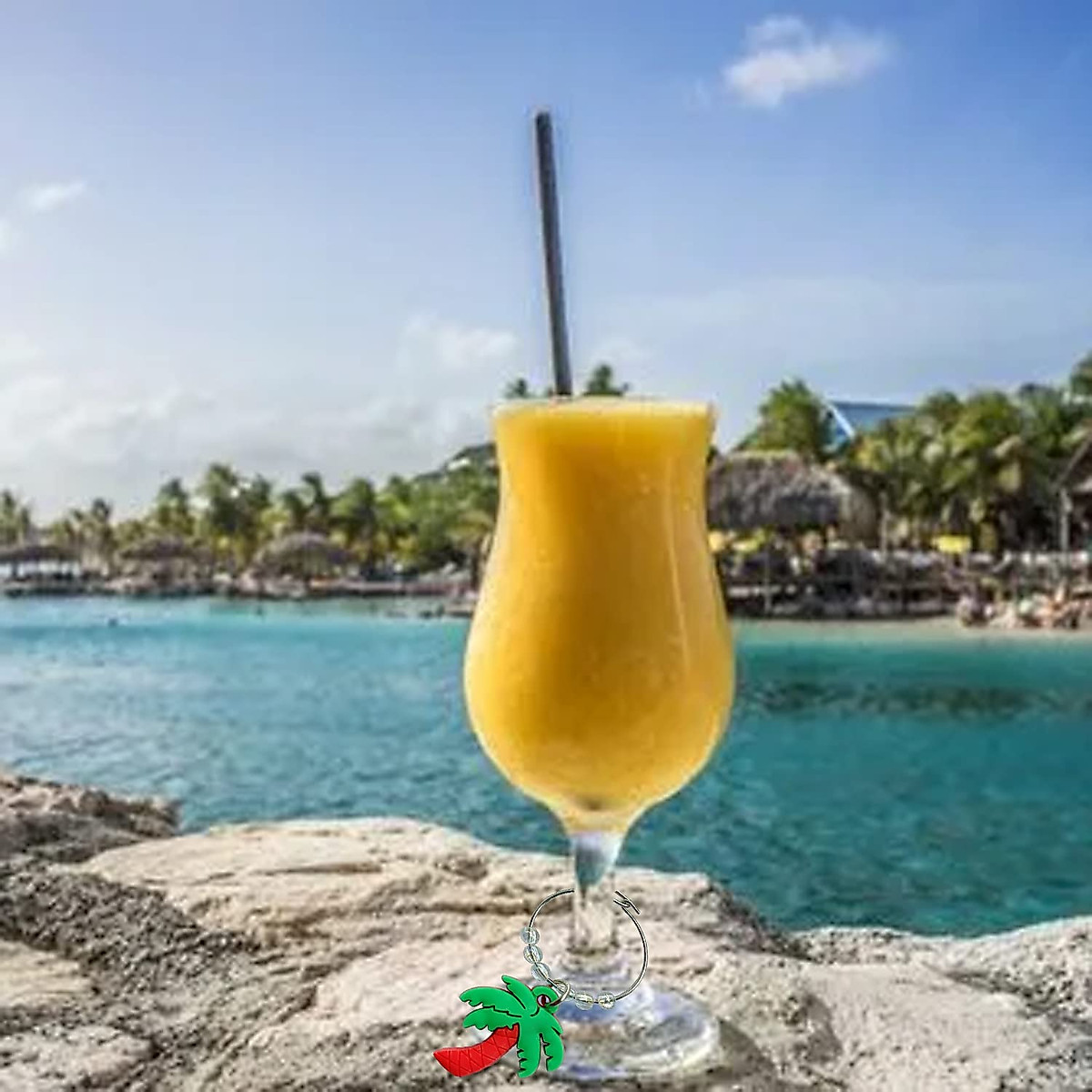 12 Pieces Beach Theme Wine Glass Charms,Wine Charms for Stem Glasses,Wine Drink Markers for Wine Lover Tasting Party