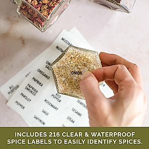 Gneiss Spice Magnetic Spice Jars | Create a Hanging Spice Rack on Your Fridge | Includes Large Empty Glass Jars, Magnetic Metal Lids and Spice Labels