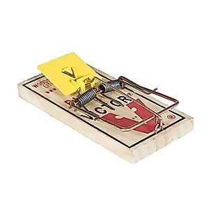 Victor M205 Easy Set Rat Trap (Pack of 2)